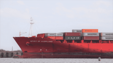 Chemical Leak Reported On The Ship Spirit Of Auckland | Sea and Job